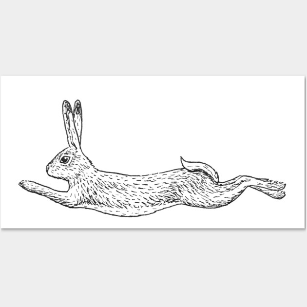 running rabbit drawing