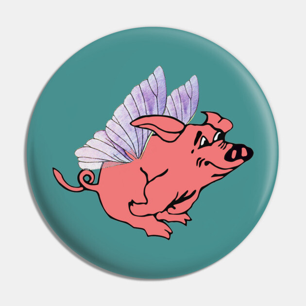 funny things that fly