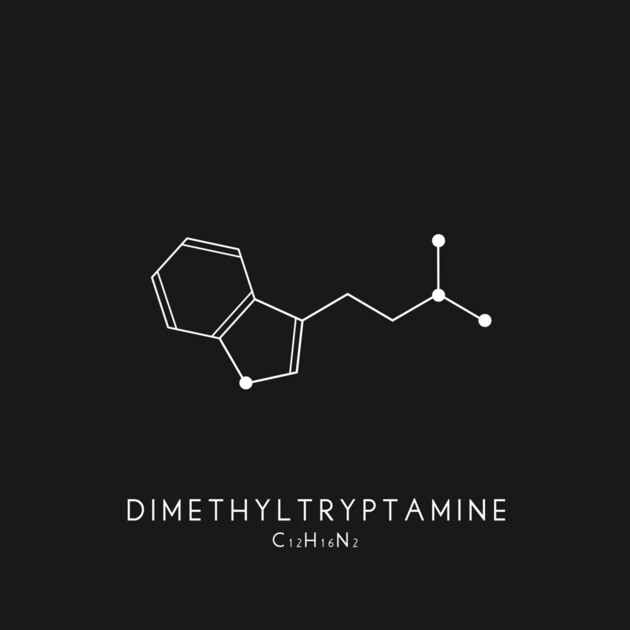 dimethyltryptamine formula