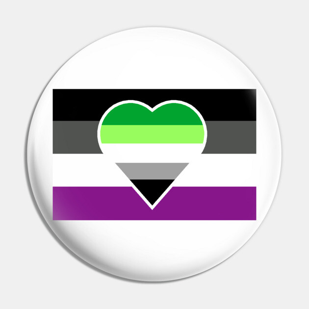 aromantic flag pin