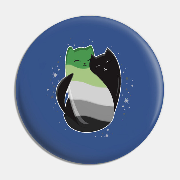 aromantic flag pin