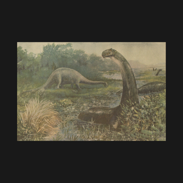 brontosaurus diplodocus