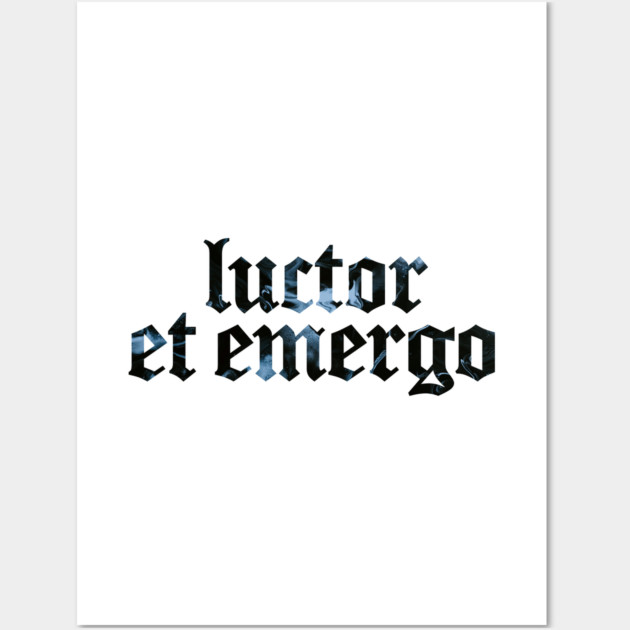 emergo logo