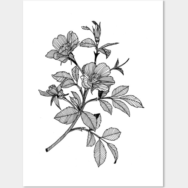 native flower drawings