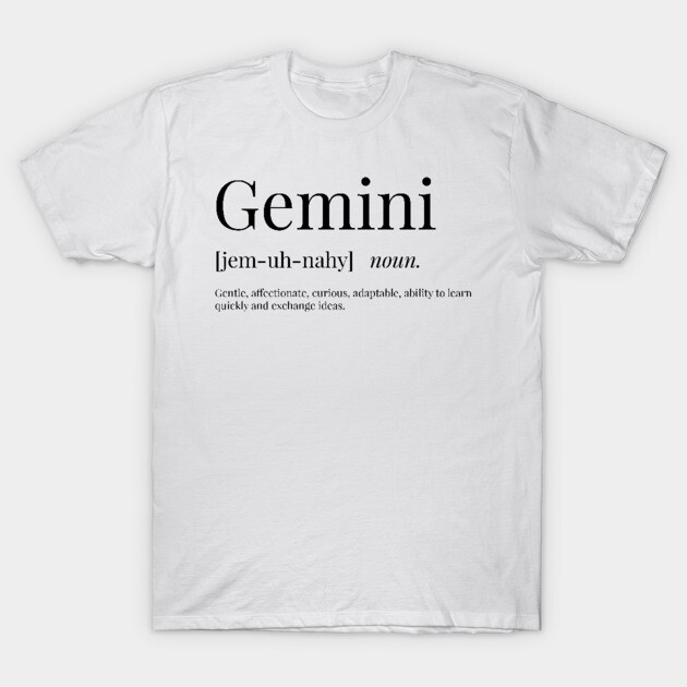 what does gemini stand for