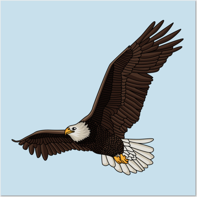 cartoon flying eagle