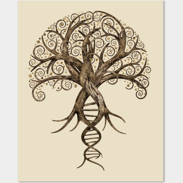 evolution art prints