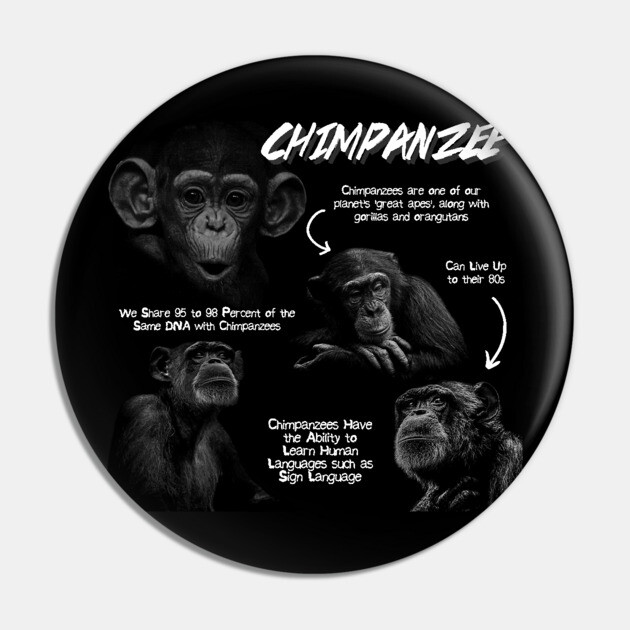 chimp facts