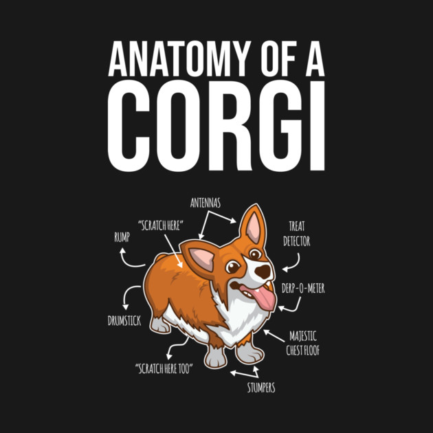 'Anatomy of a Corgi' Adorable Corgis Dog - Corgi - T-Shirt | TeePublic