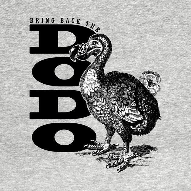dodo poster