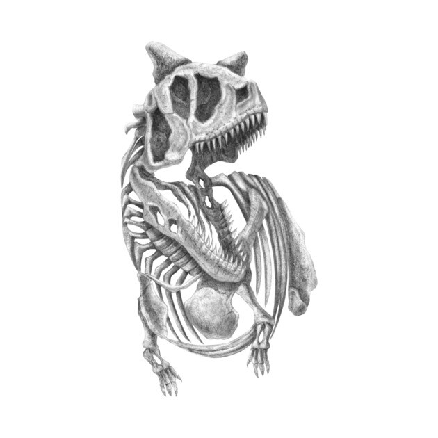 carnotaurus skeleton drawing