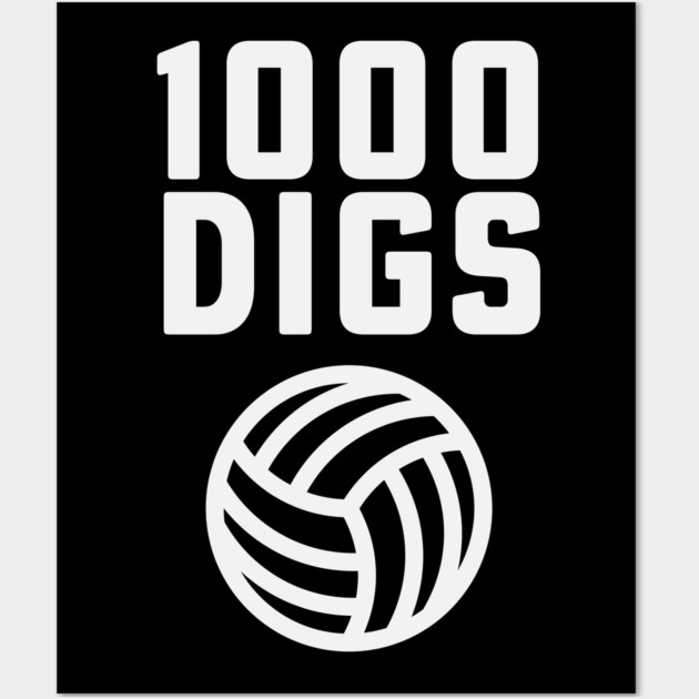 digs volleyball