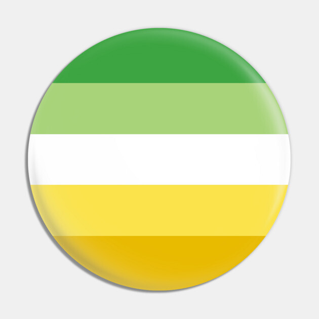 aromantic flag pin