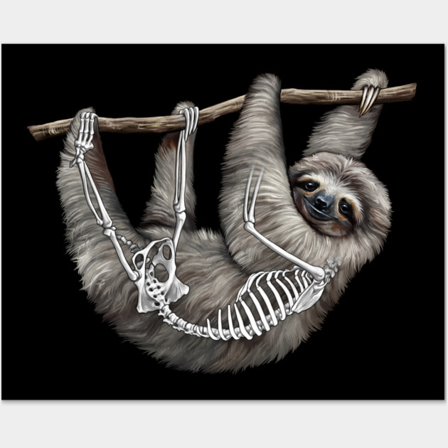 Pygmy Three Toed Sloth Anatomy - Sloth - Posters and Art Prints | TeePublic