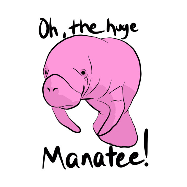 huge manatee