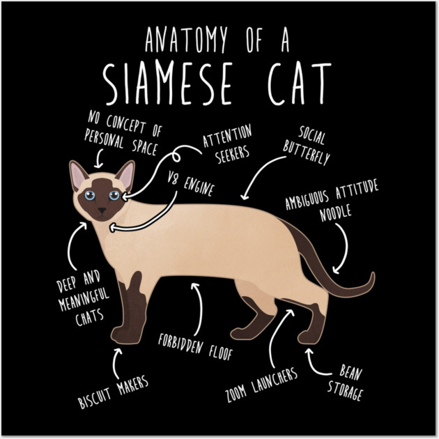 siamese cat print