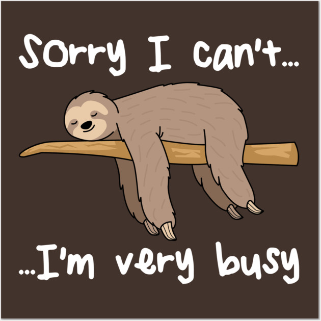 funny sloth