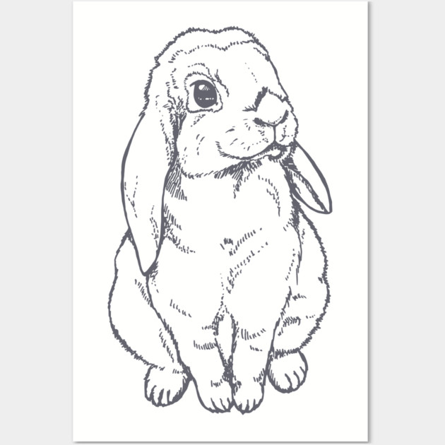 holland lop coloring pages