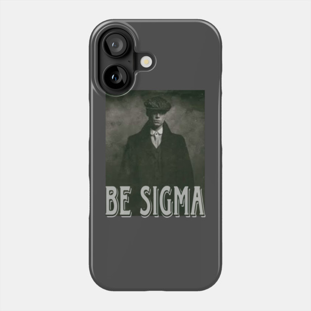 sigma cases