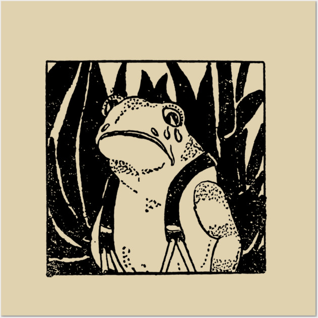 Vintage Sad Looking Crying Frog Meme - Weeping Frogge in Suspender ...