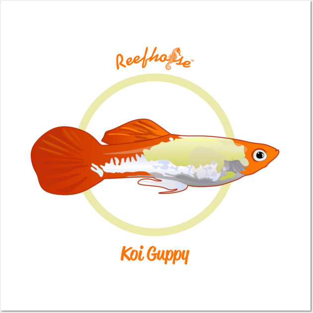 Koi Guppy - Reefhorse - Posters and Art Prints | TeePublic