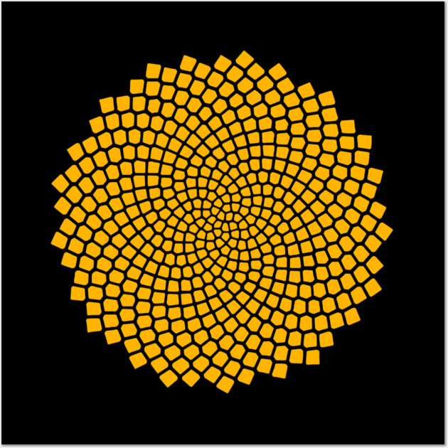 sunflower geometry