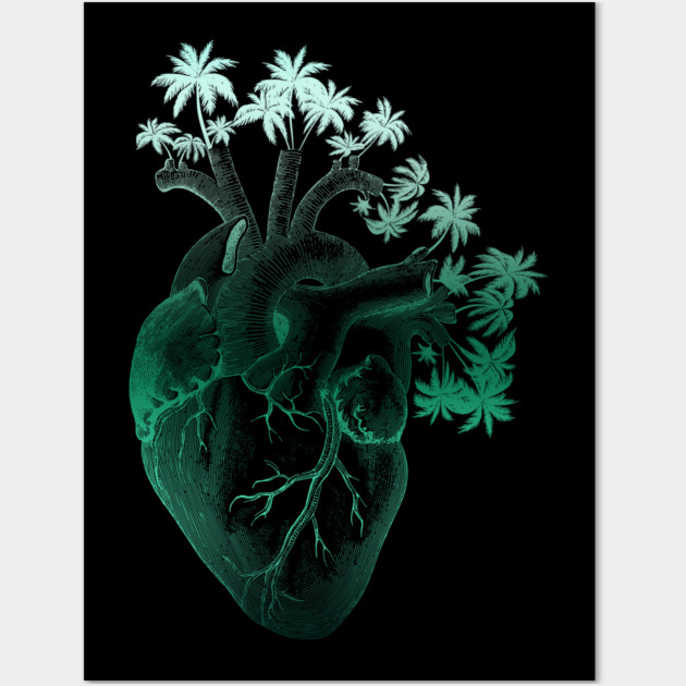 anatomically correct human heart