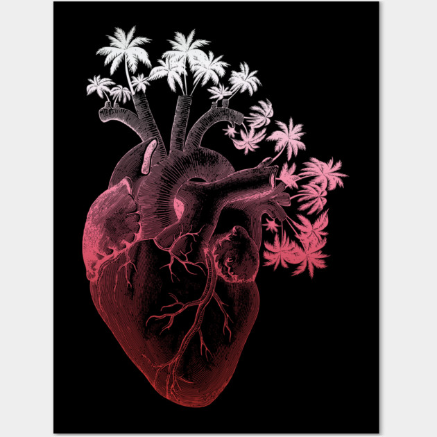 anatomically correct human heart