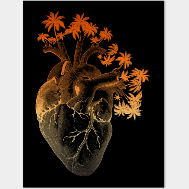 anatomically correct human heart