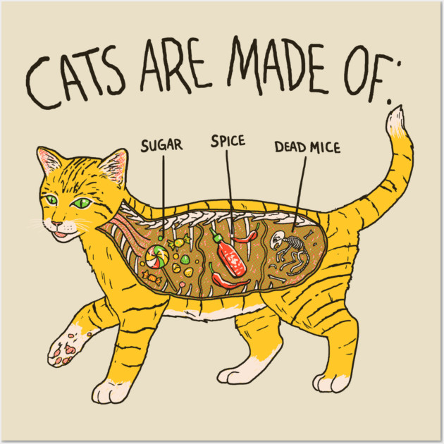 cat diagram