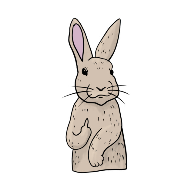 grumpy rabbit