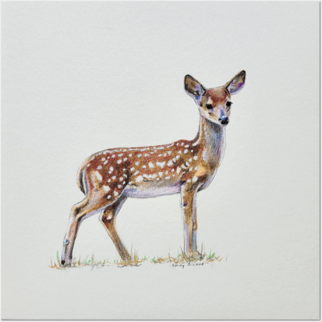 deer background drawing