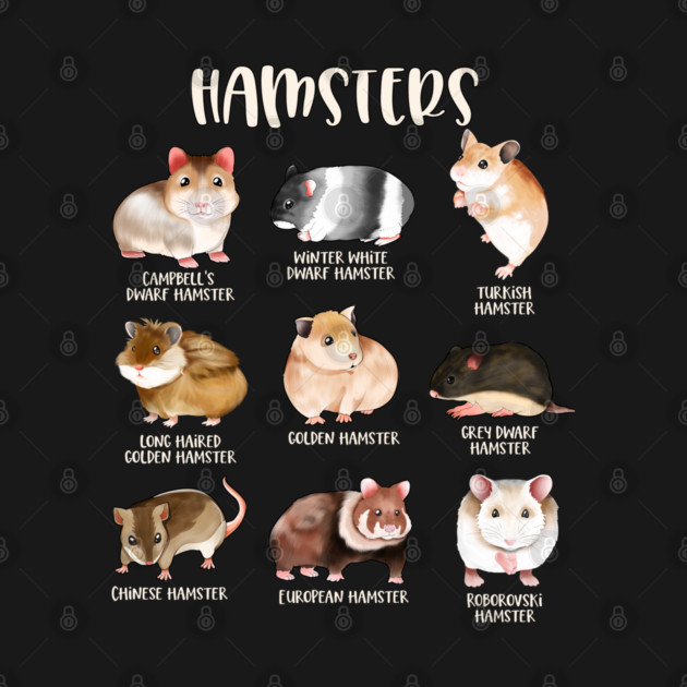 all dwarf hamster types