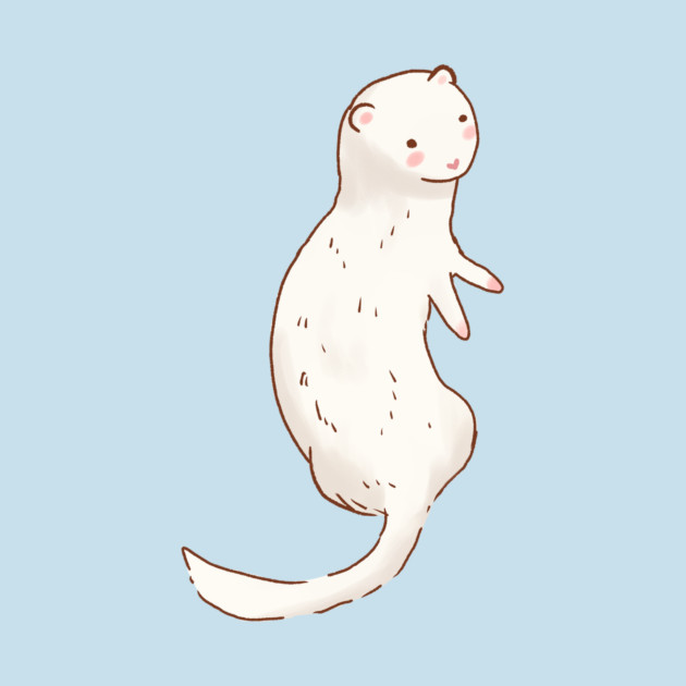 ferret drawing