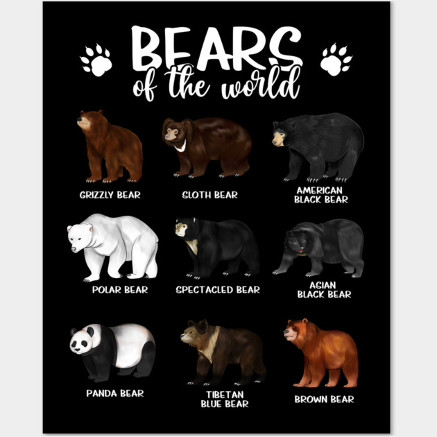 bears different types