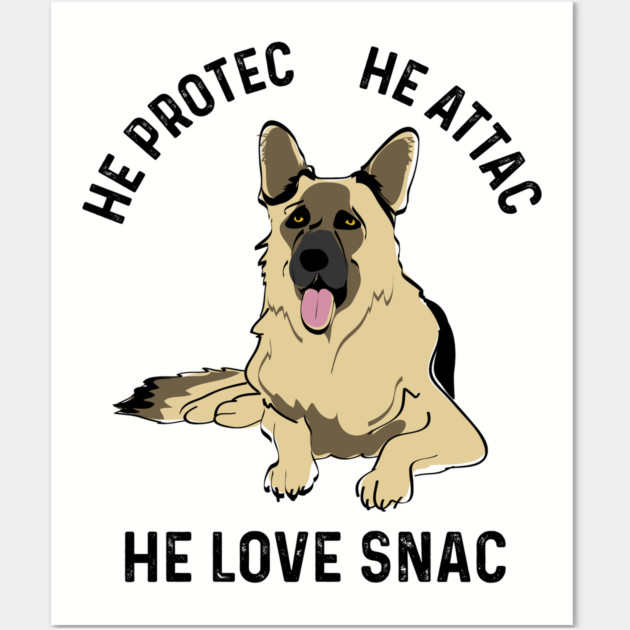 clever german shepherd