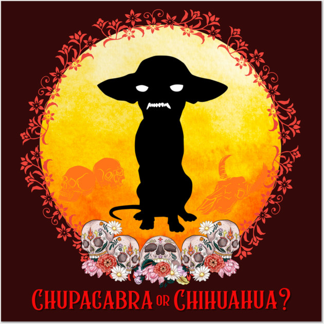 chupacabra sight