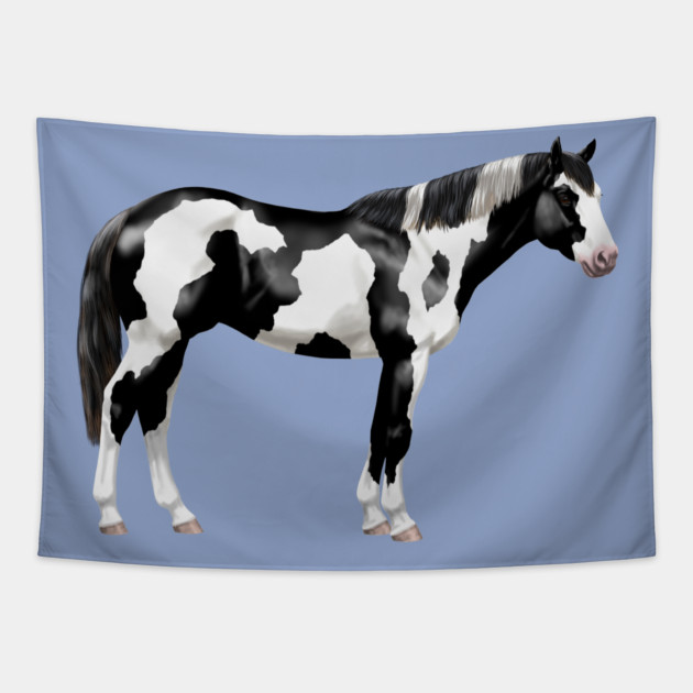 tovero horse pattern