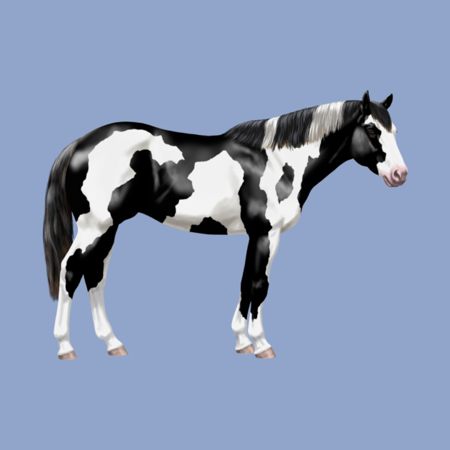 tovero horse pattern
