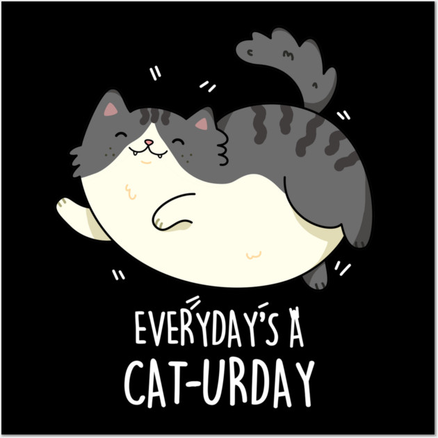 caturday cat