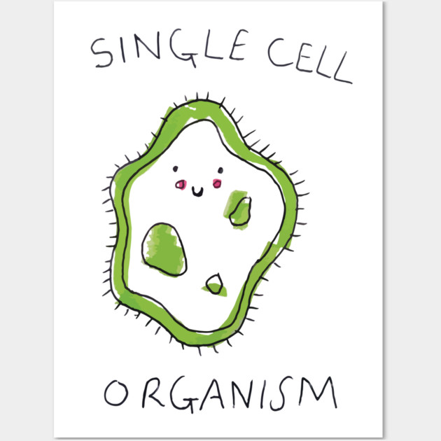 cell wall drawing cute