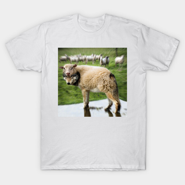 wolf in sheep's clothing clothes