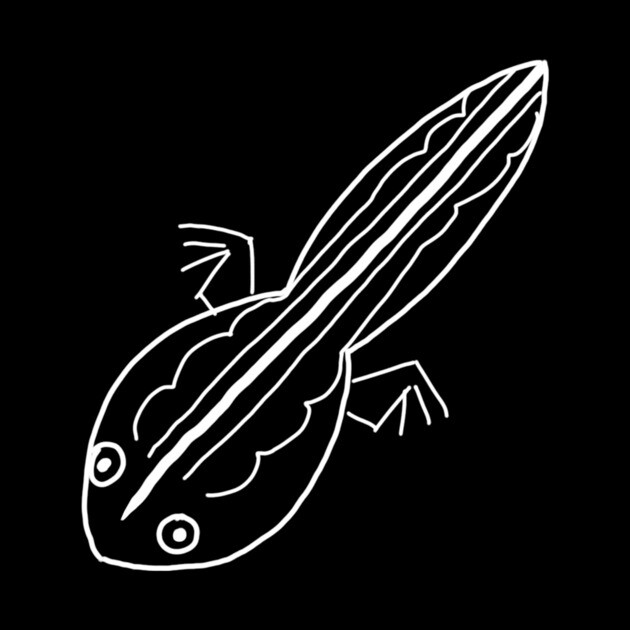 tadpole drawing