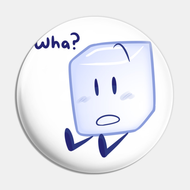 bfdi pin