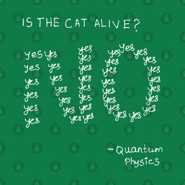 cat physics jokes