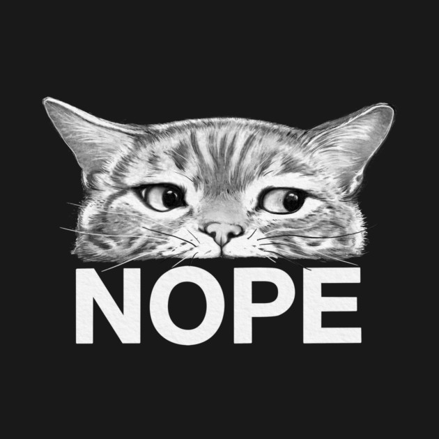 nope cat hat