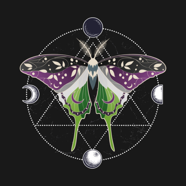 Aroace Luna Moth LGBT Asexual Aromantic Pride Flag - Aroace - T-Shirt ...