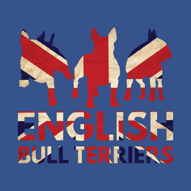 english bull t