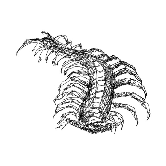 centipede drawing