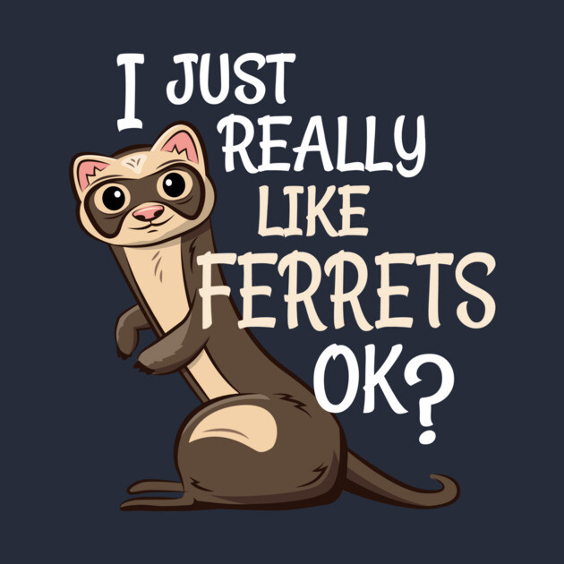 ferret gift